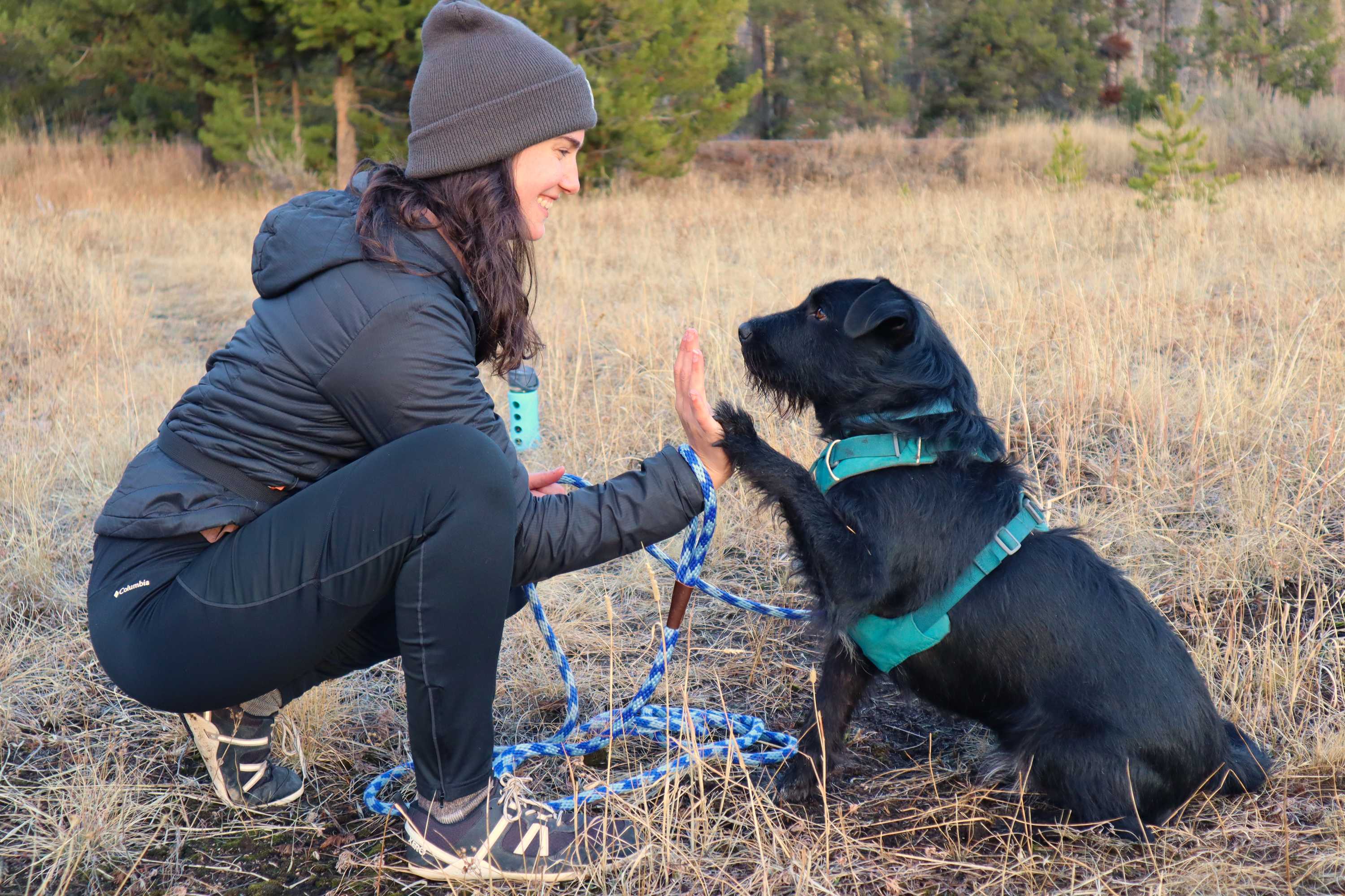 How to Mat Train Your Dog (and Why You Should!)