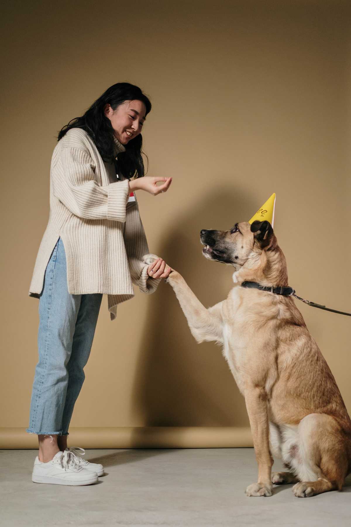 5 Easy (Yet Impressive) Tricks to Teach Your Dog